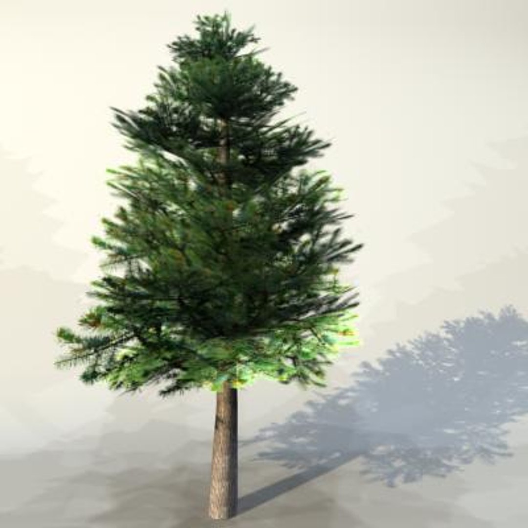 3d Model Pc Tree