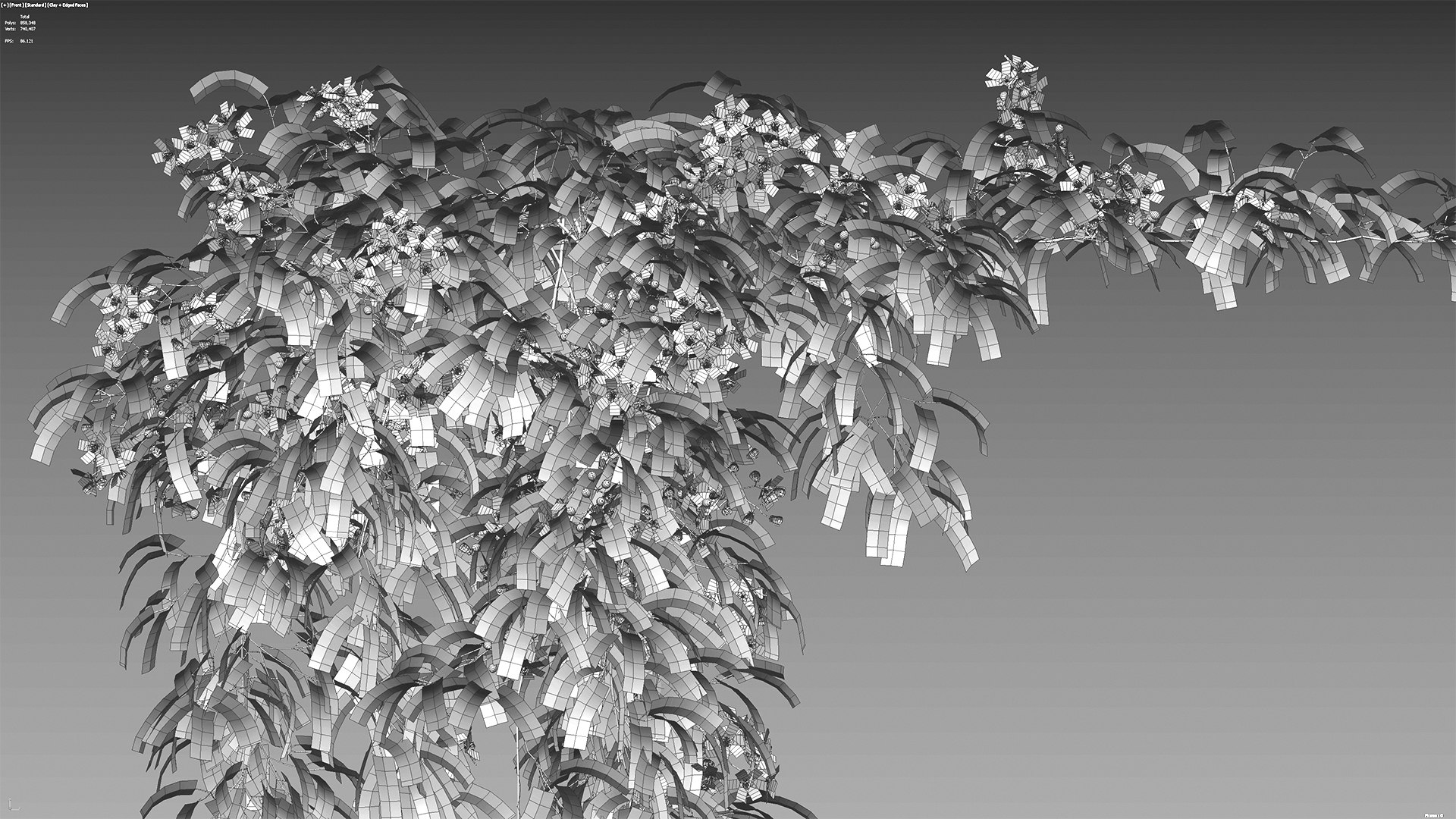 3D model Clematis Apple Blossom 01 - TurboSquid 2024474