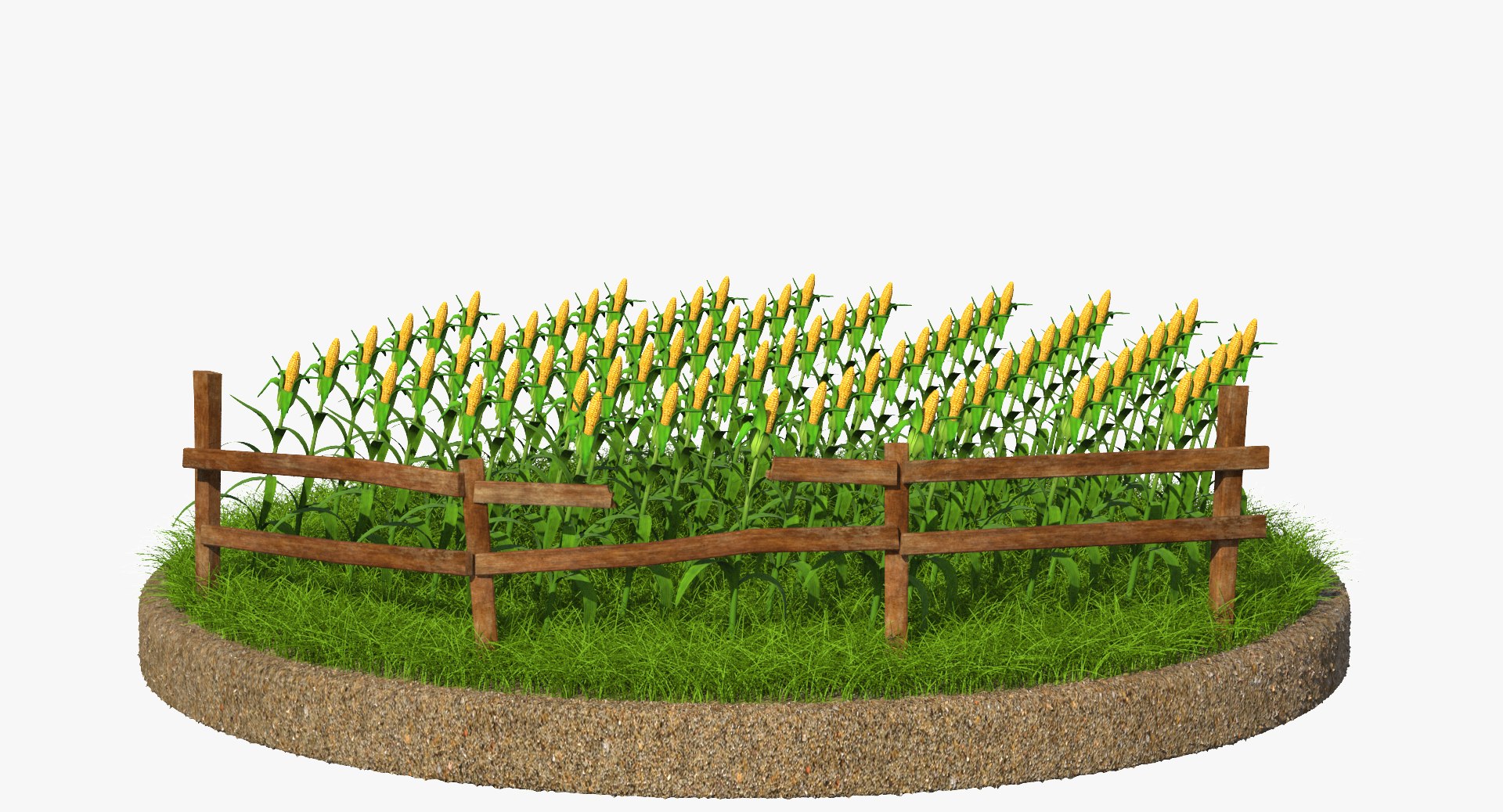 3d Obj Grass Corn