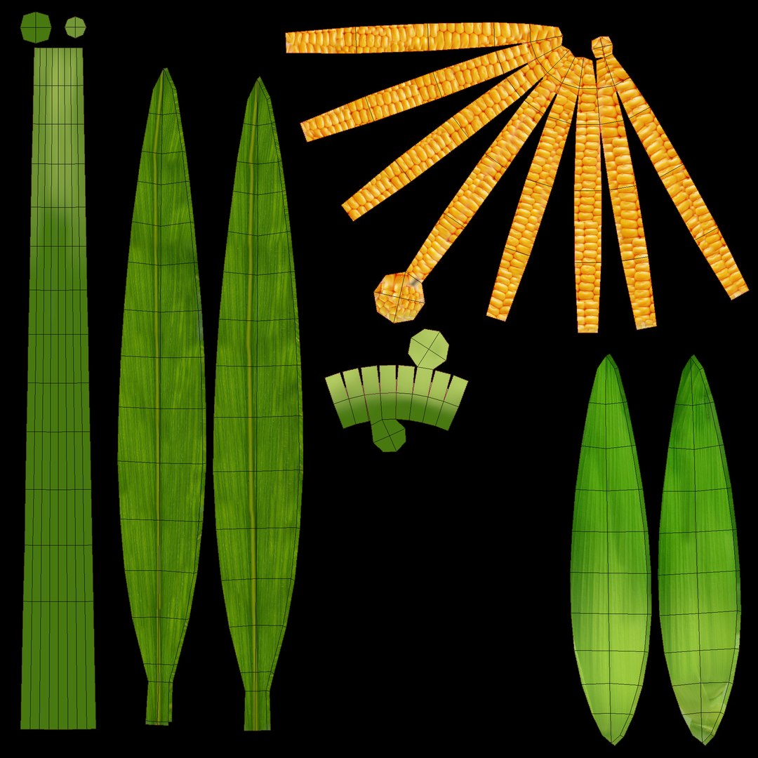 3d Obj Grass Corn