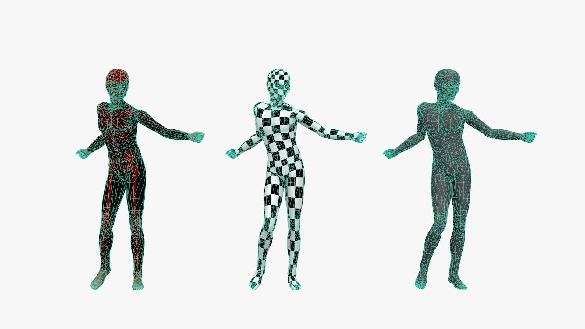 3D Model Skeleton - TurboSquid 1864530