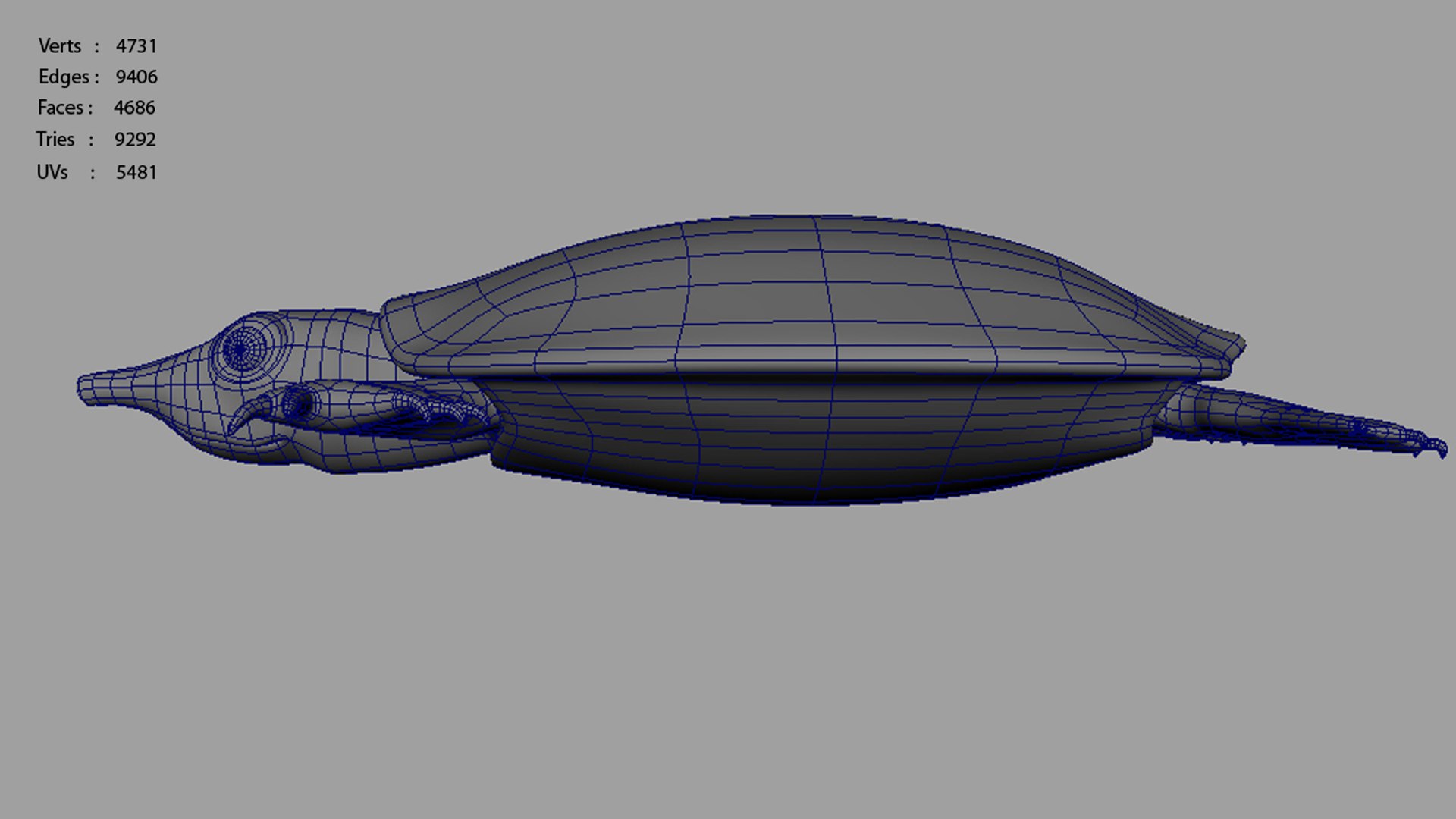 3d Trionyx Spiniferus Model