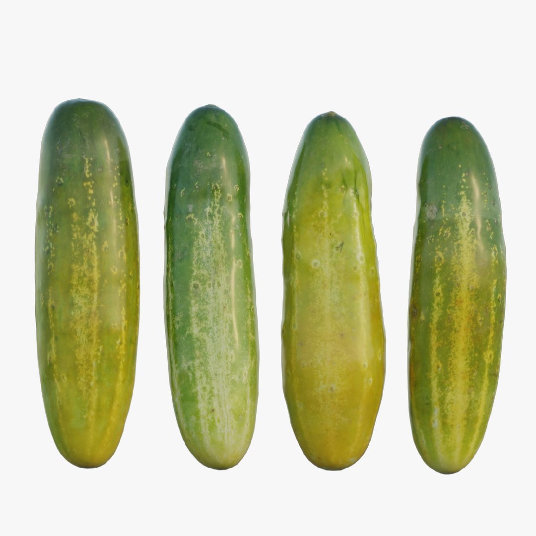 3D Cucumber 02 model - TurboSquid 1903552