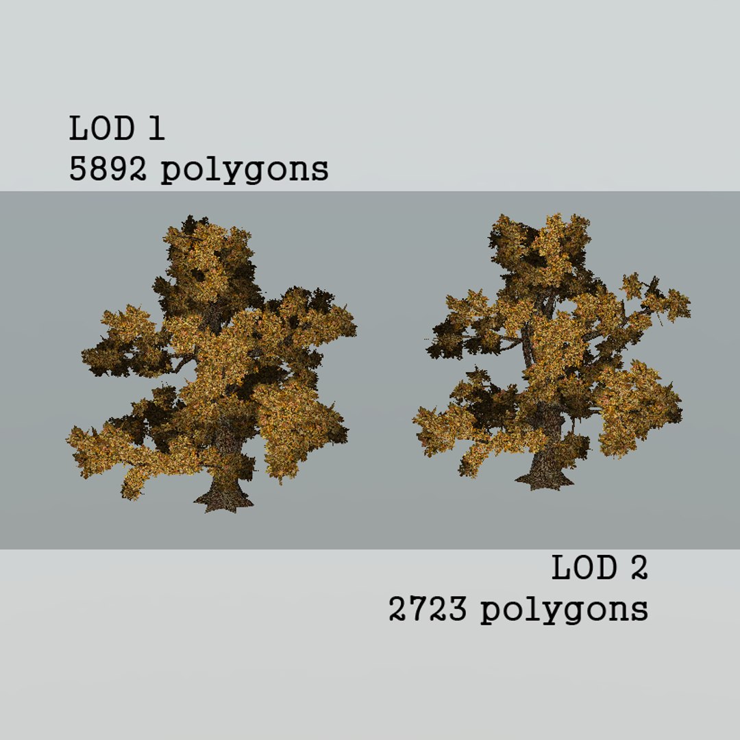 Oak-tree Lod Level 3d Model