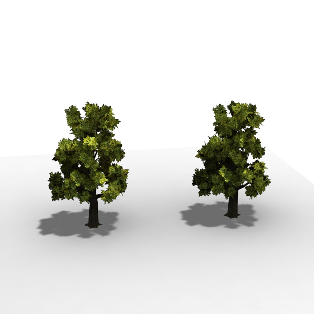 Oak-tree Lod Level 3d Model