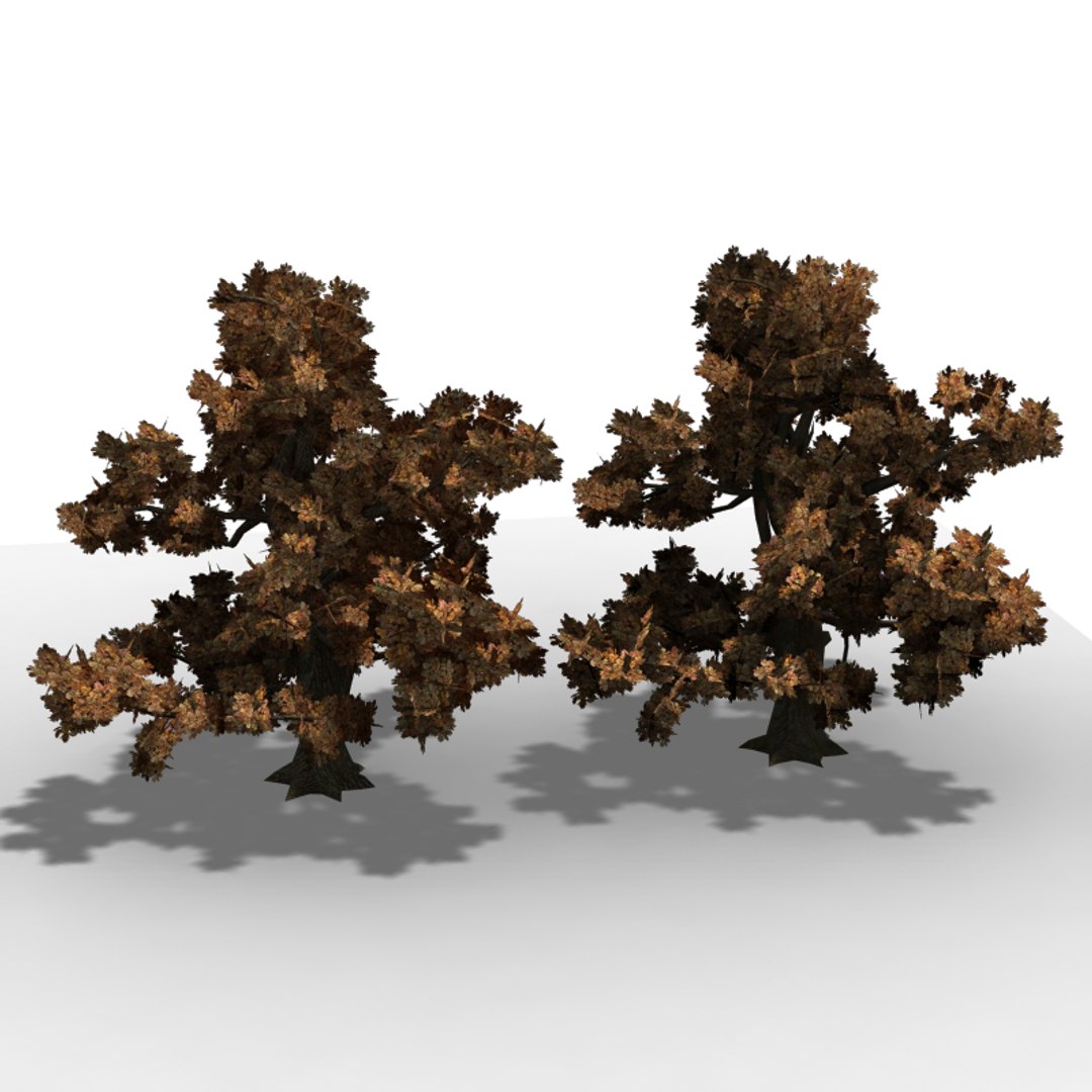 Oak-tree Lod Level 3d Model