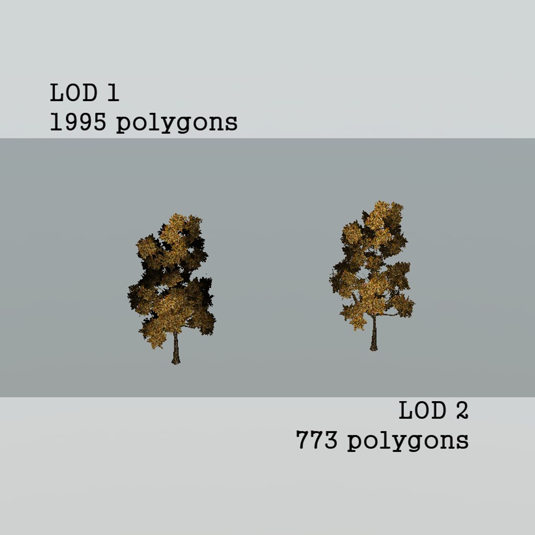 Oak-tree Lod Level 3d Model