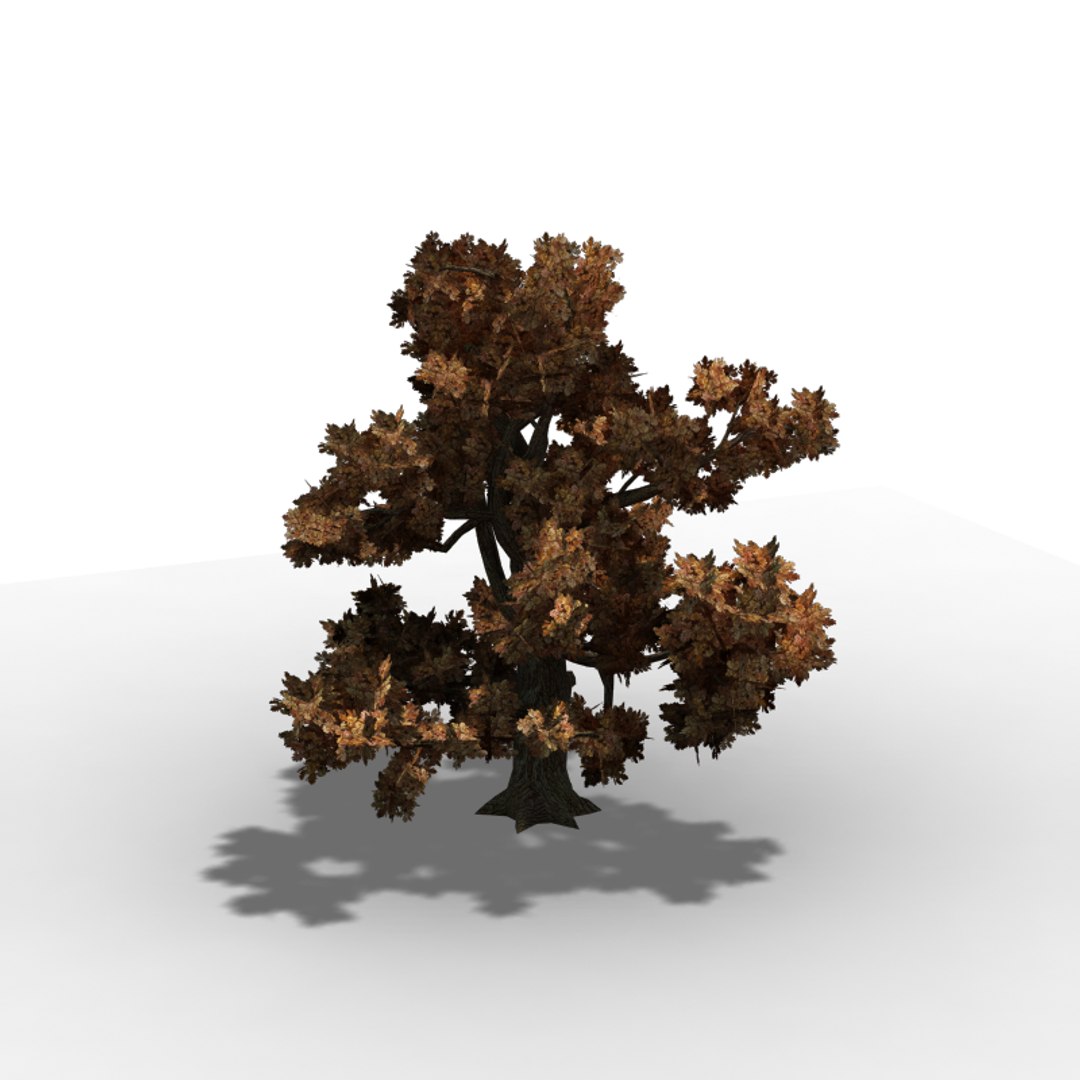 Oak-tree Lod Level 3d Model