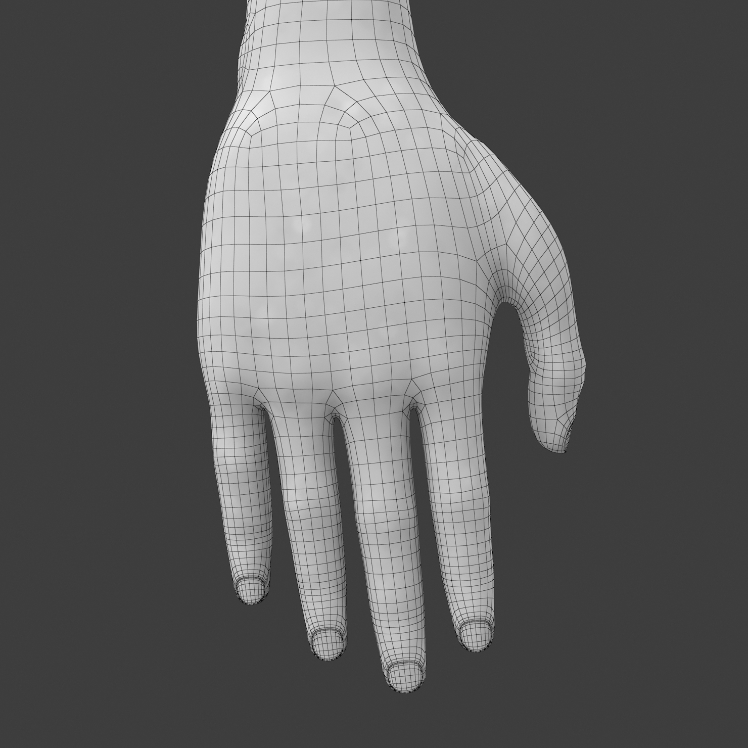 Realistic hand 3D model - TurboSquid 1300744