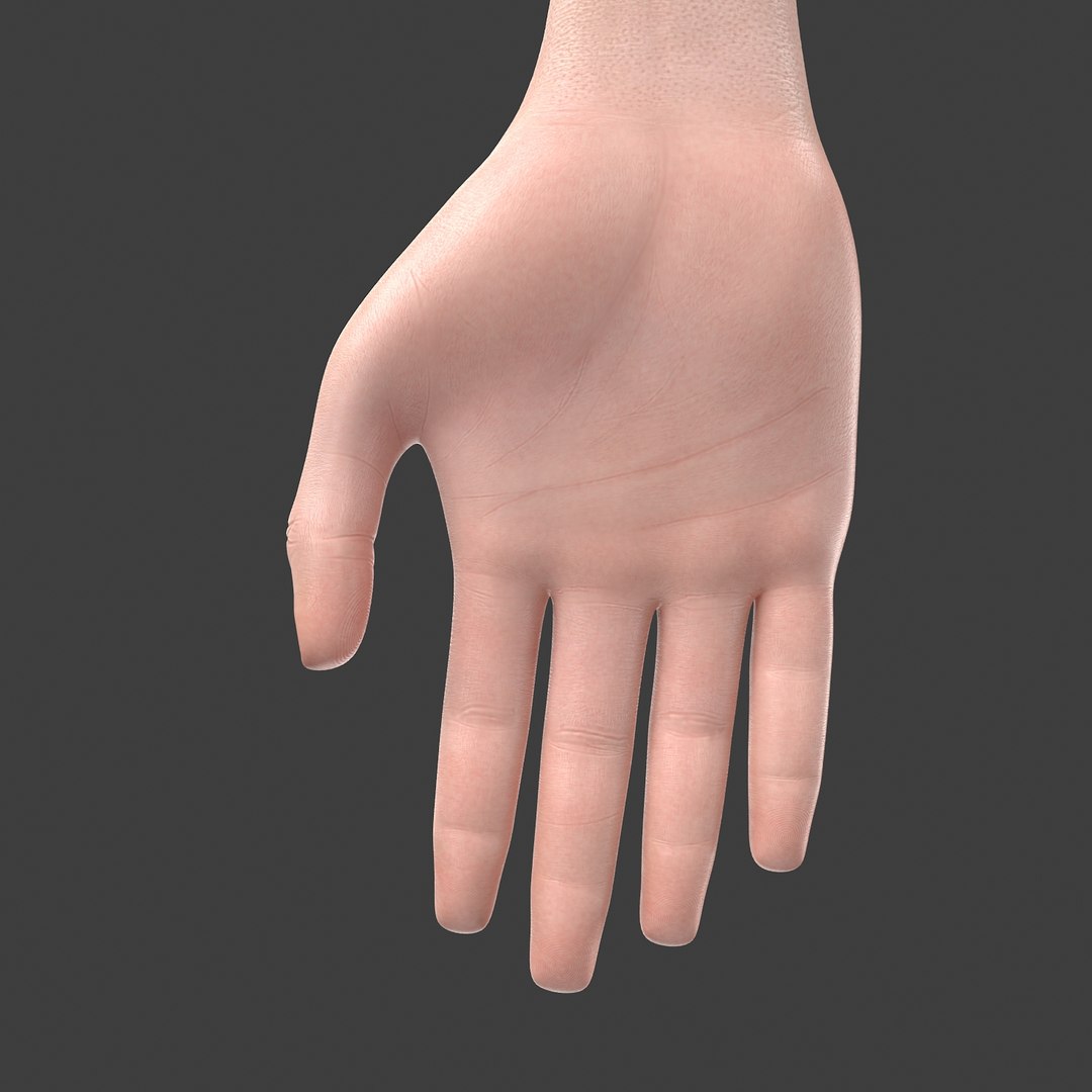 Realistic Hand 3D Model - TurboSquid 1300744