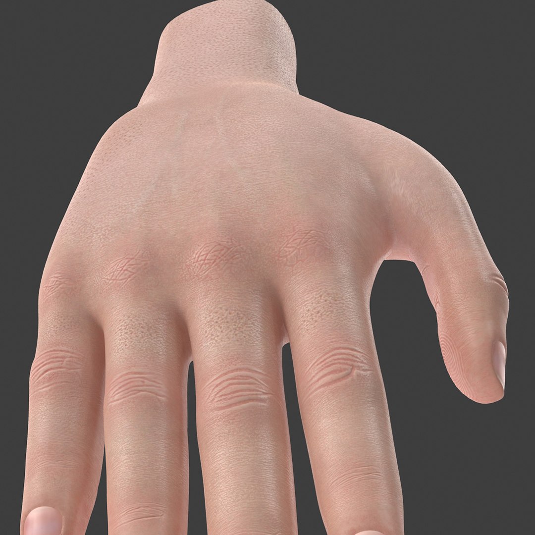 Realistic Hand 3D Model - TurboSquid 1300744