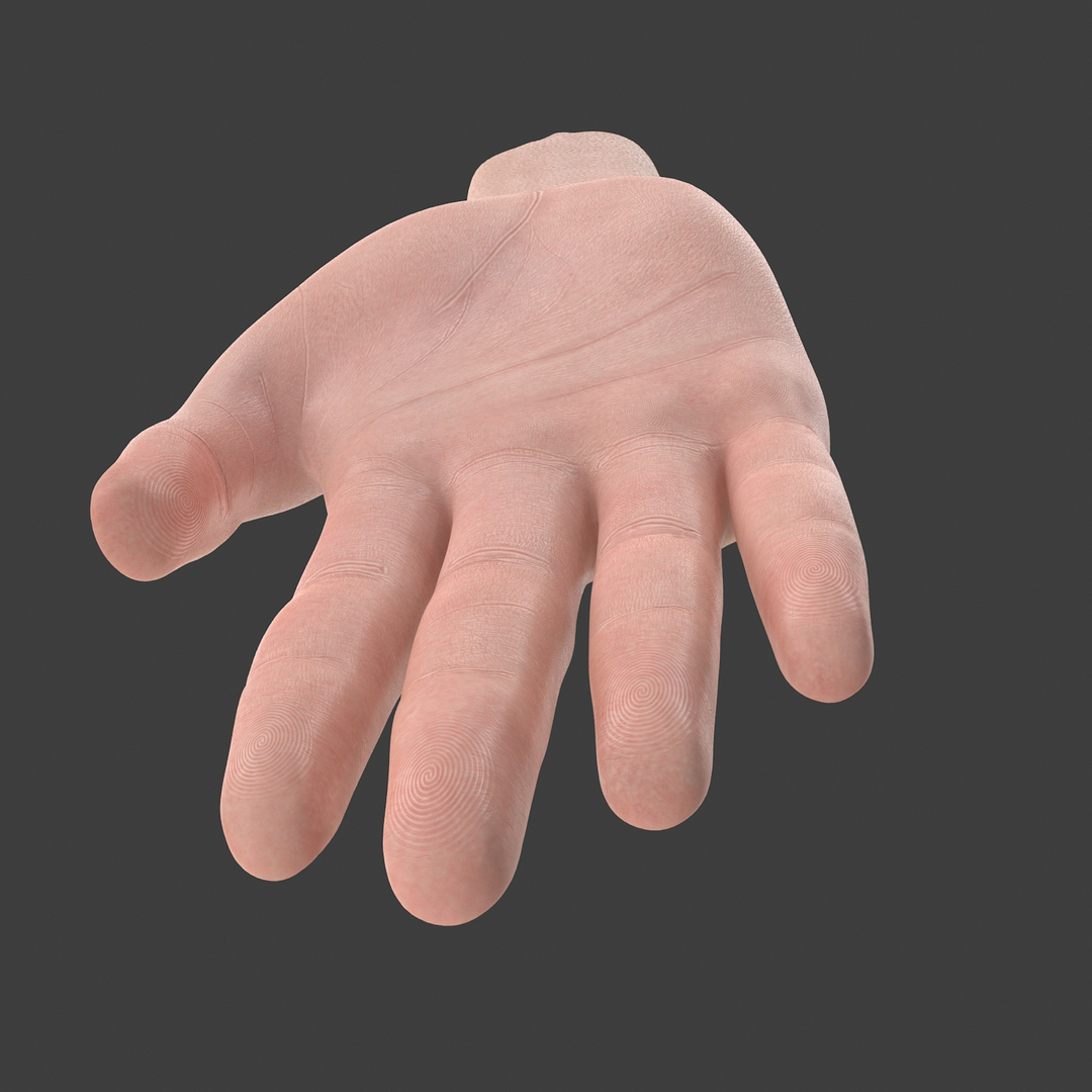 Realistic hand 3D model - TurboSquid 1300744