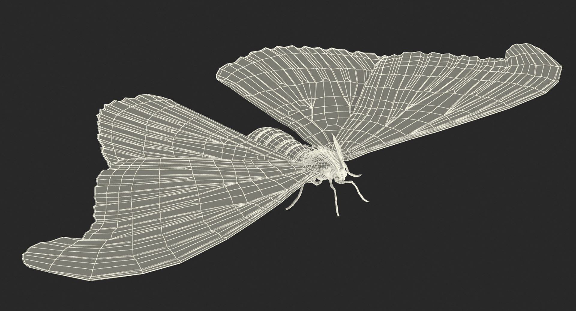 3D model moths set atlas - TurboSquid 1221525