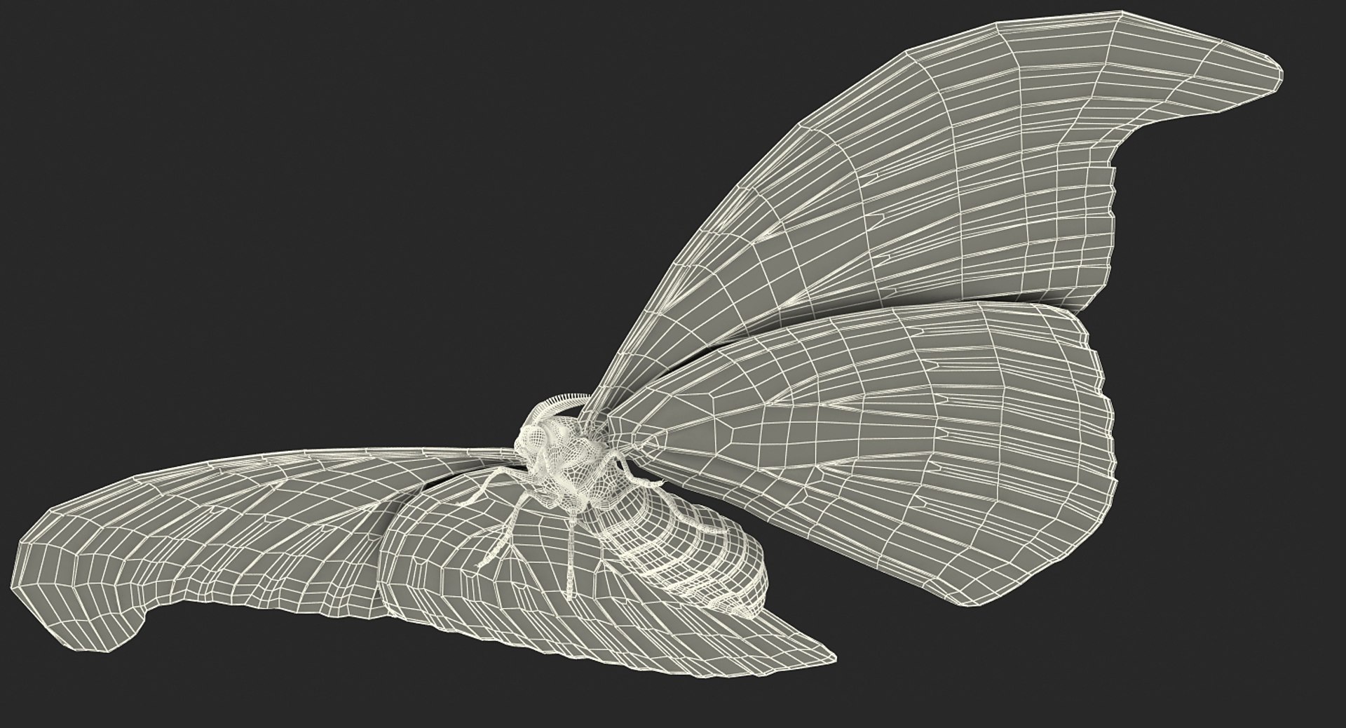 3D model moths set atlas - TurboSquid 1221525