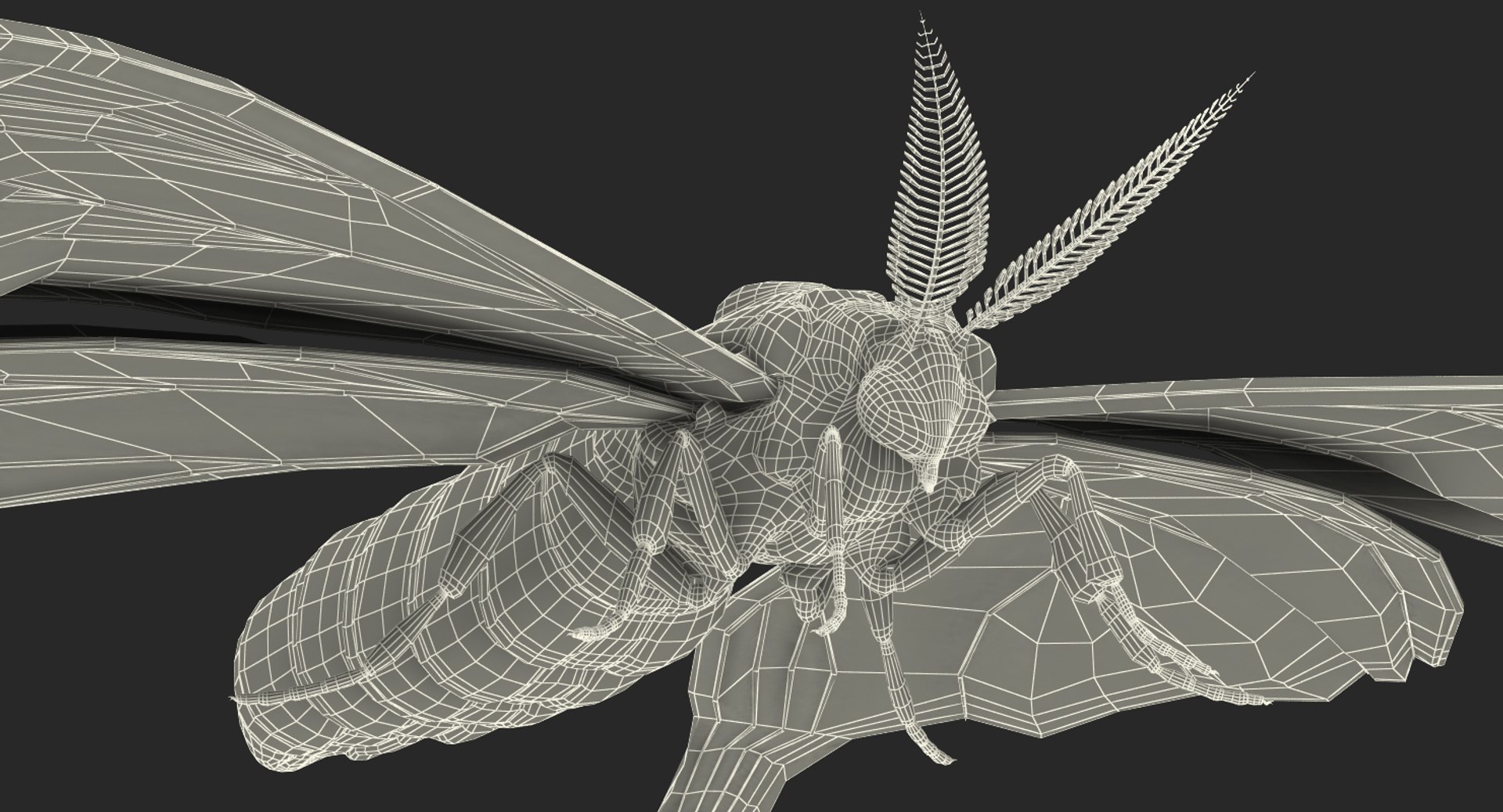 3D model moths set atlas - TurboSquid 1221525