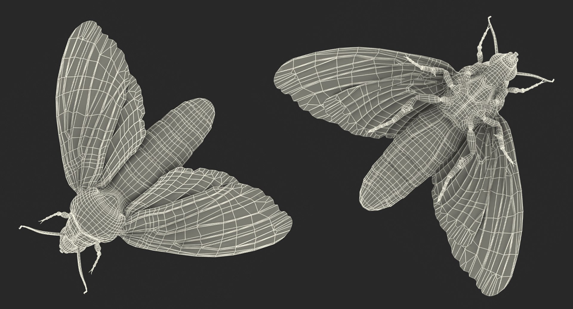 3D model moths set atlas - TurboSquid 1221525