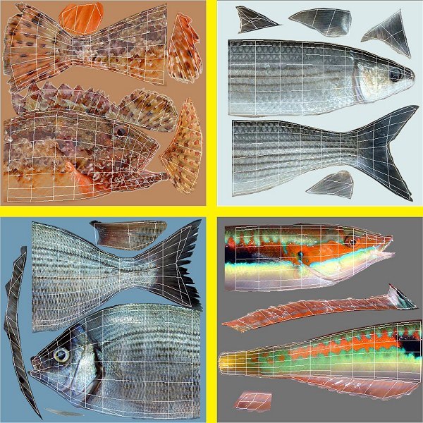3ds max fish adriatic sea