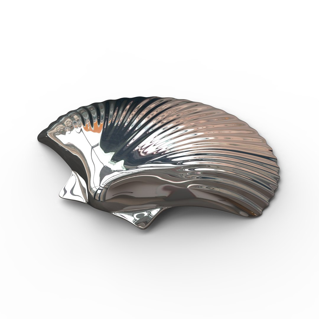 Silver Chrome Shell 3D - TurboSquid 1228470