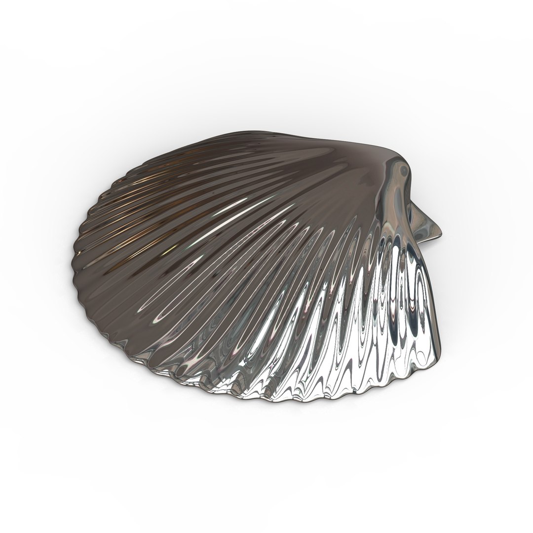 Silver Chrome Shell 3D - TurboSquid 1228470