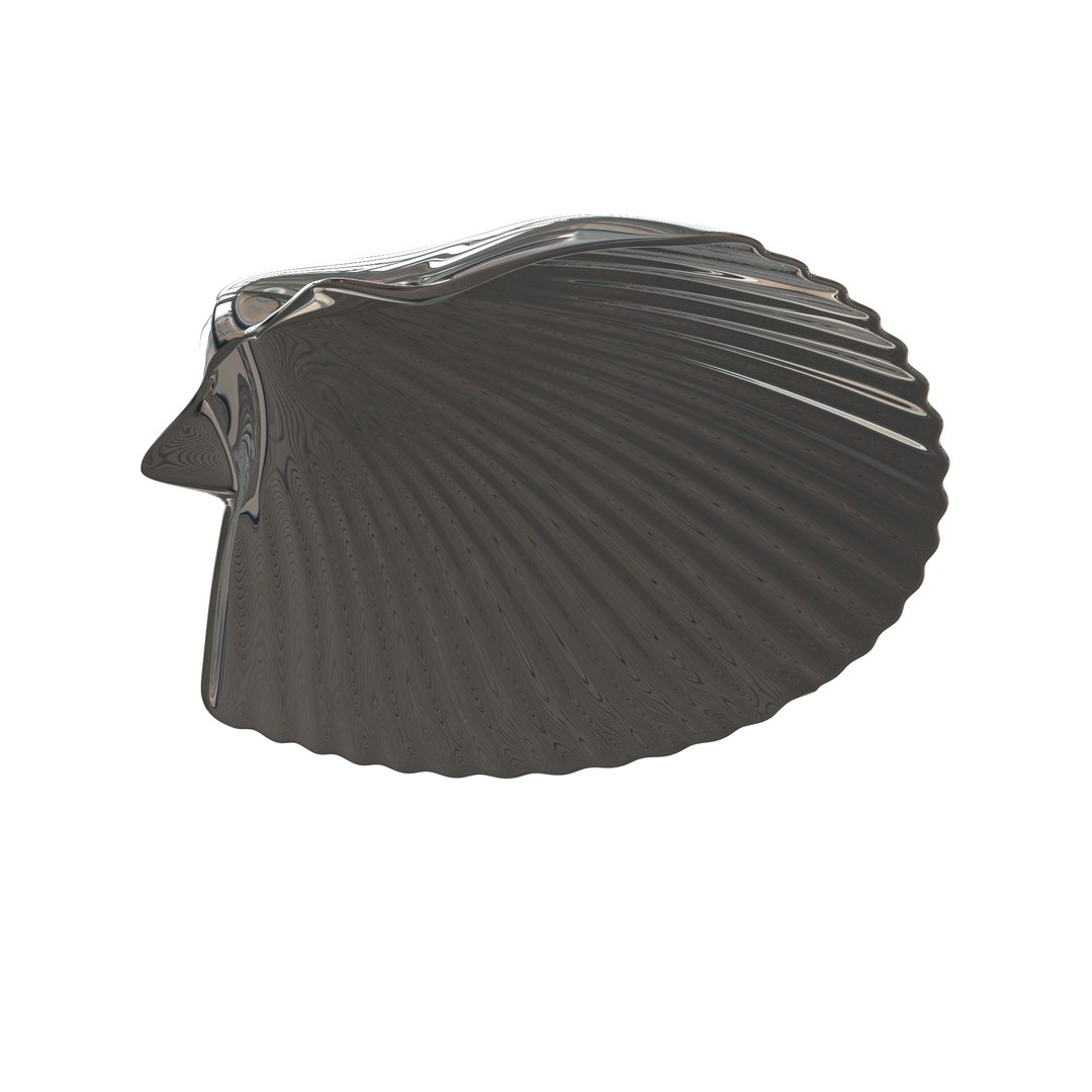 Silver Chrome Shell 3D - TurboSquid 1228470