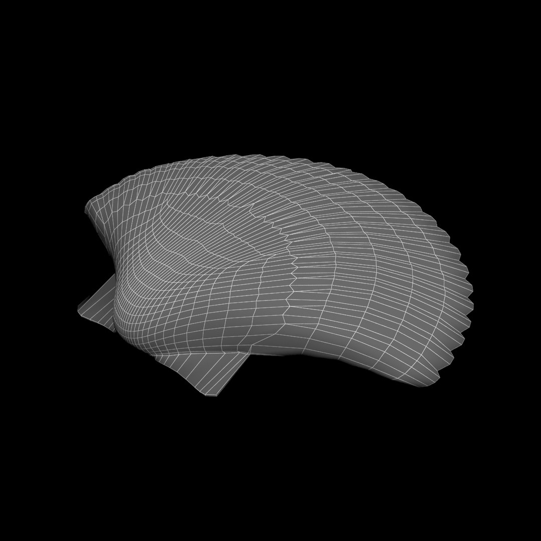 Silver Chrome Shell 3D - TurboSquid 1228470