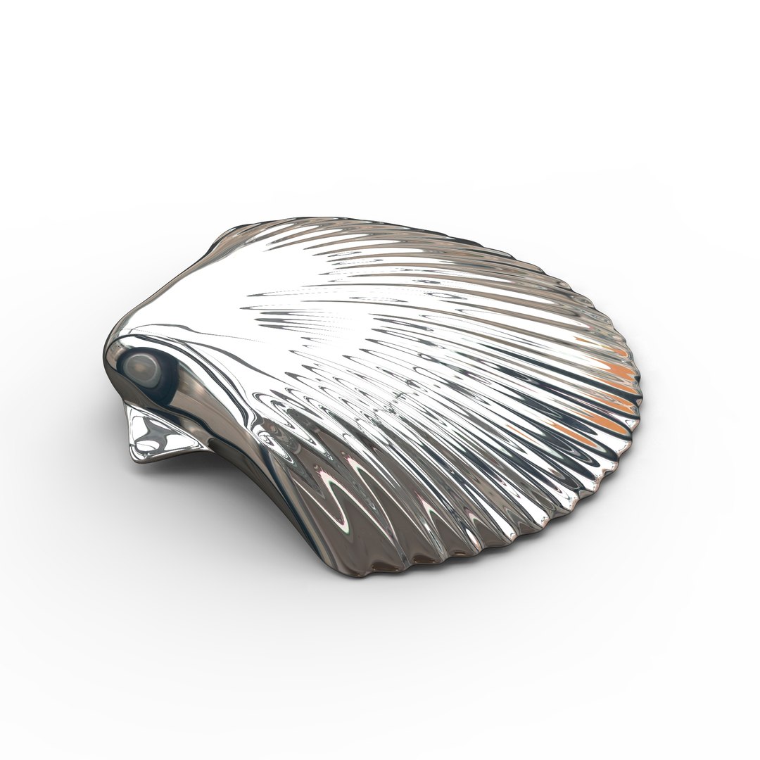 Silver Chrome Shell 3D - TurboSquid 1228470