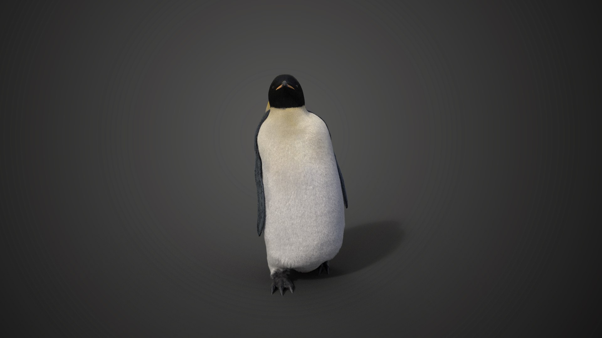 3D Emperor Penguin Animated - TurboSquid 1904141