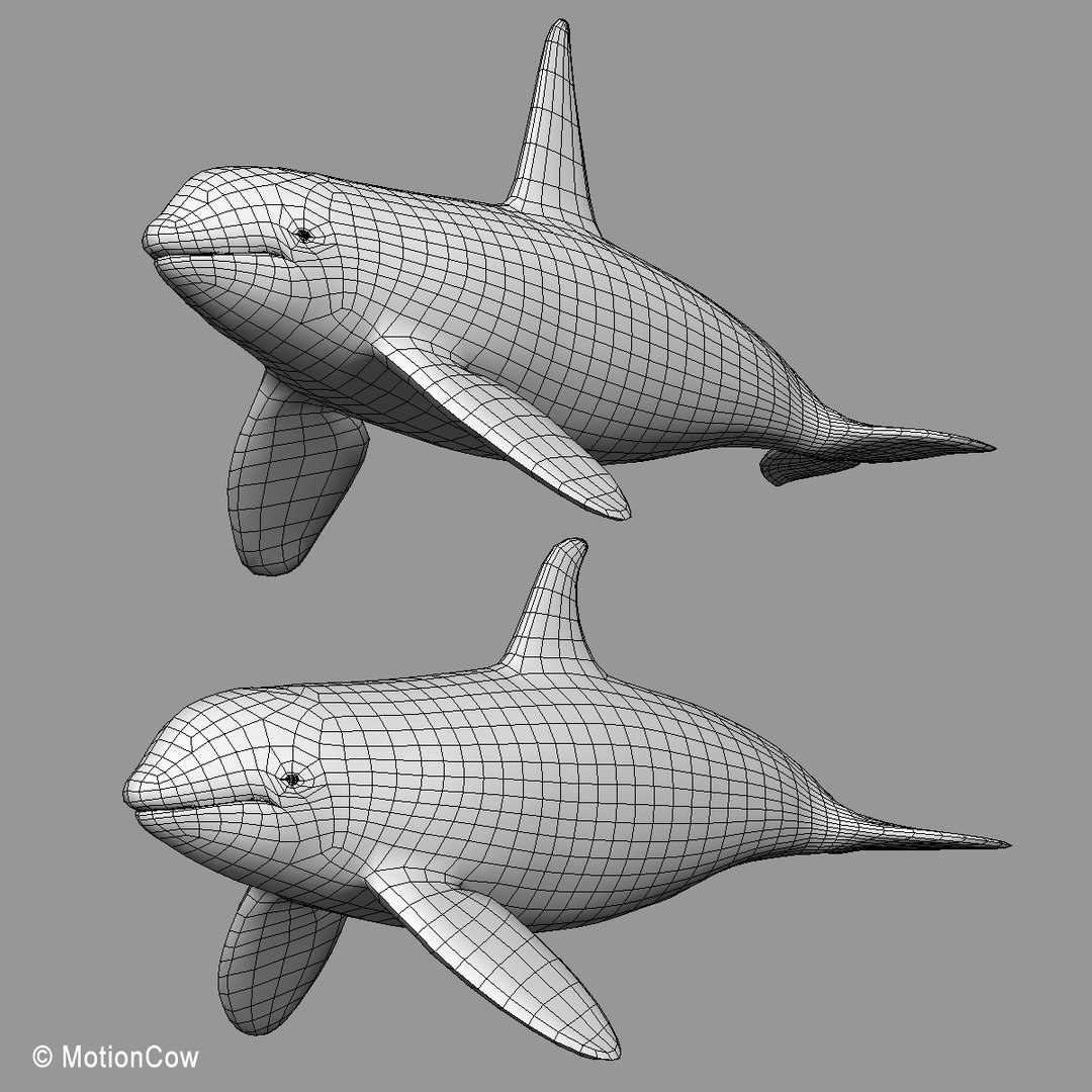 3D orca killer whale model - TurboSquid 1172341