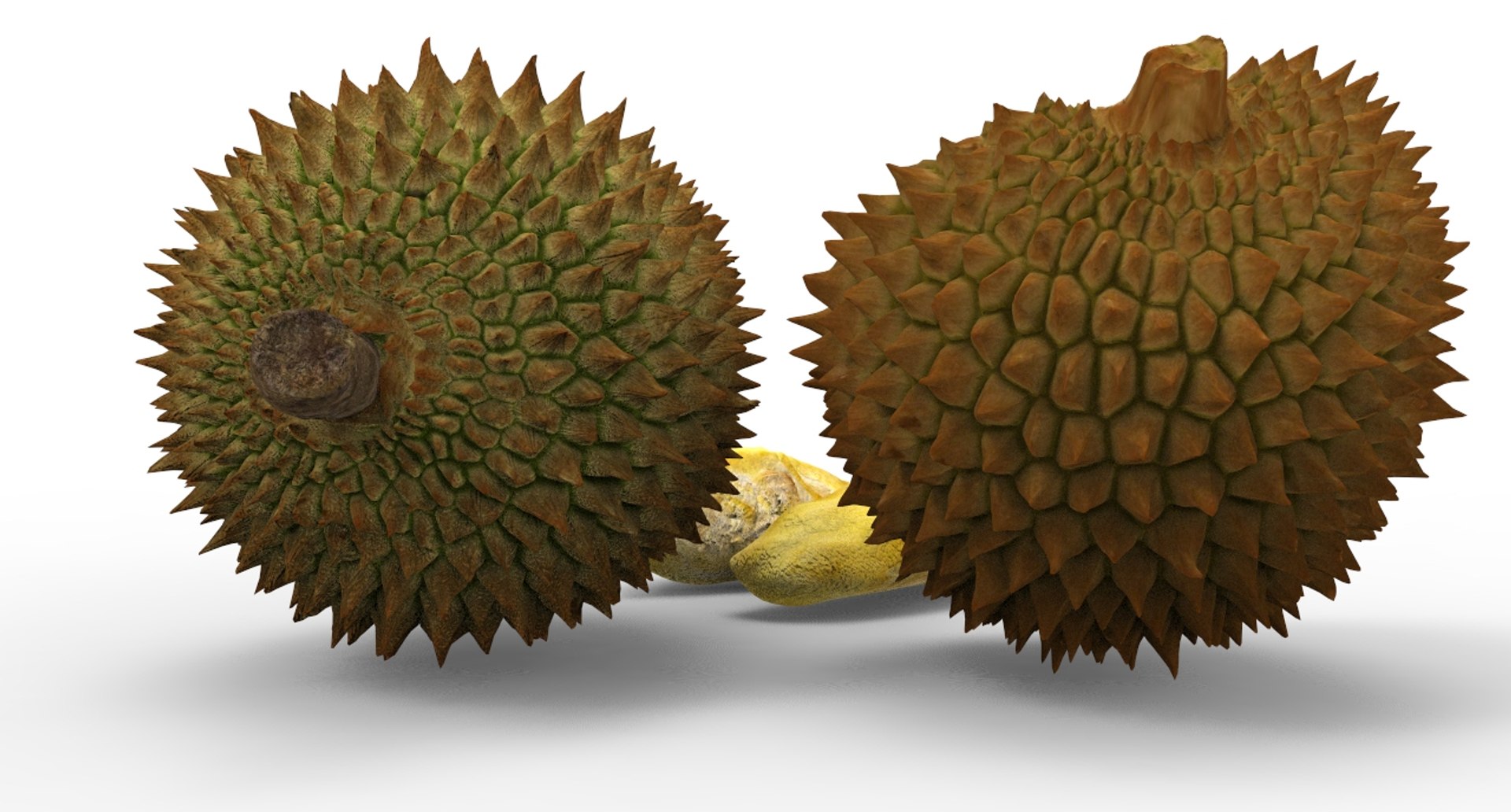 Durian Food Fruit 3D - TurboSquid 1533433