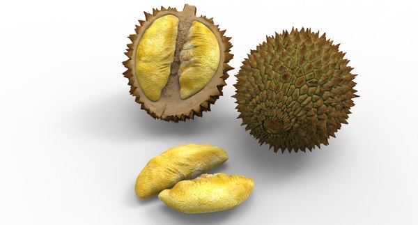 3D Durian Models | TurboSquid