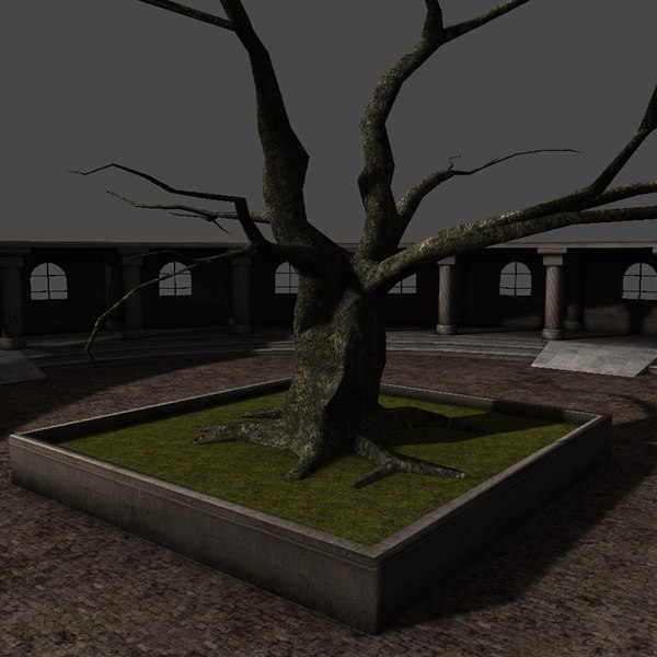 Amphitheatre 3D Models for Download | TurboSquid