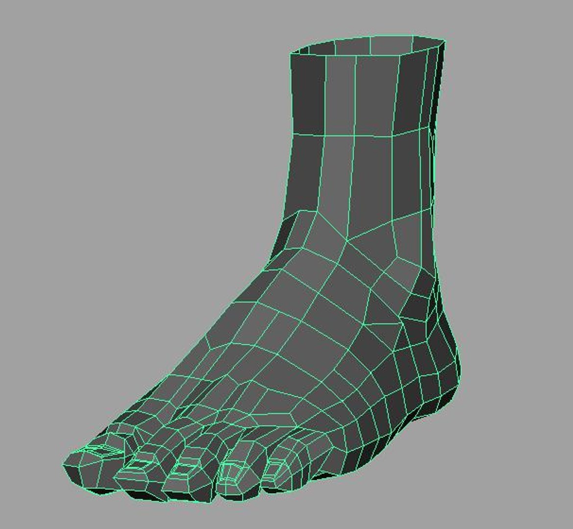 Realistic Foot 3d Model