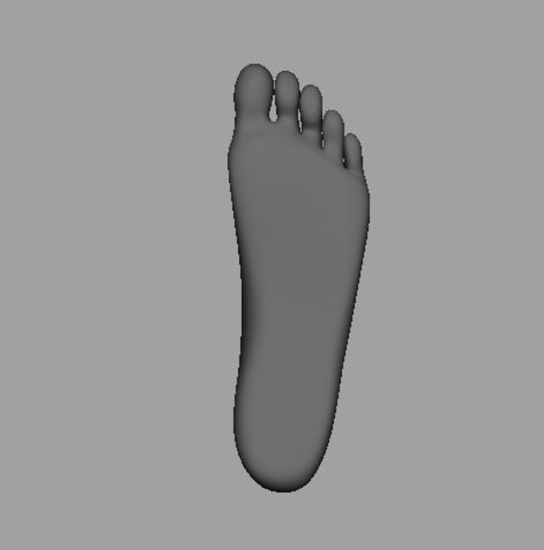 Realistic Foot 3d Model