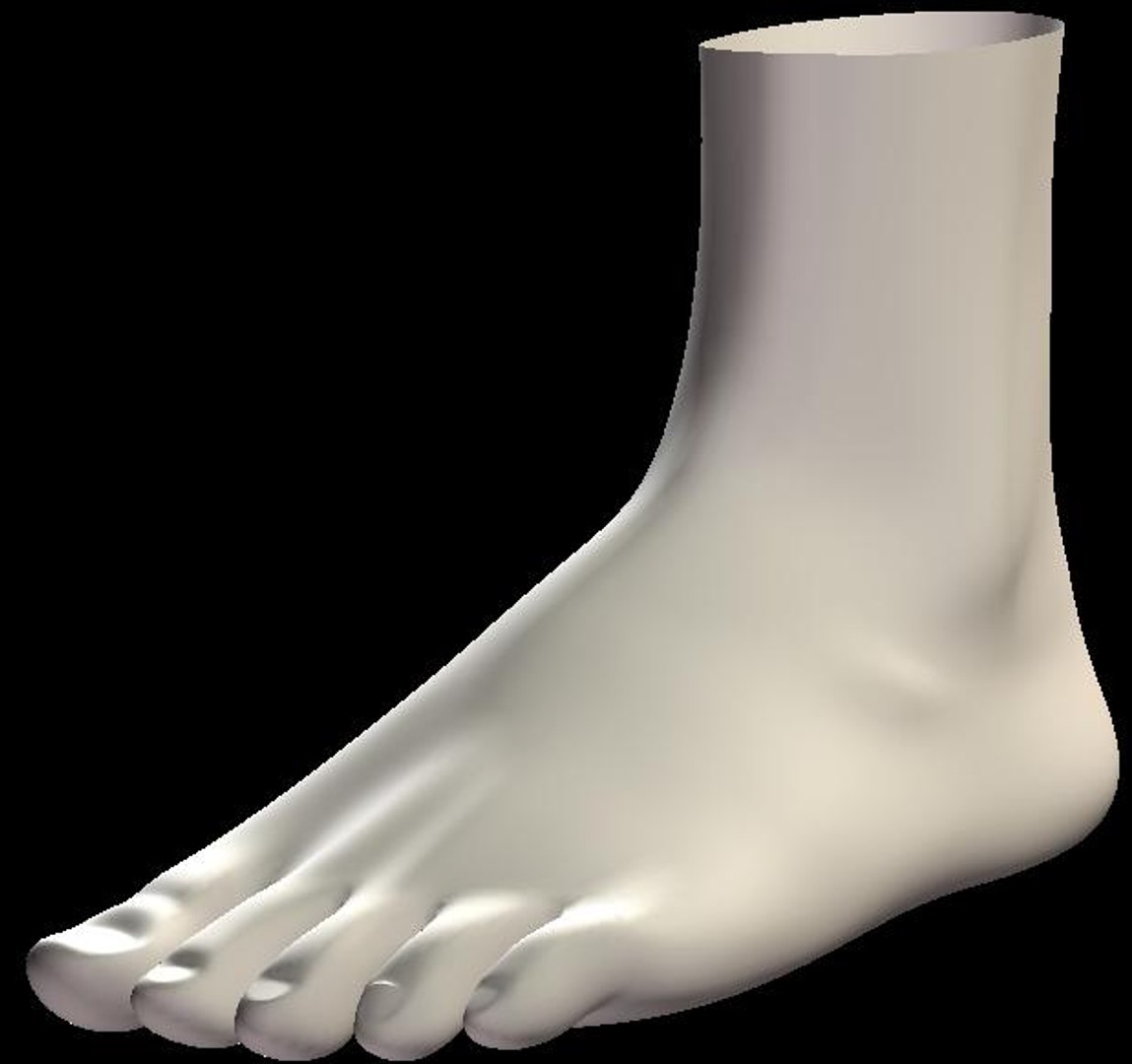 Realistic Foot 3d Model