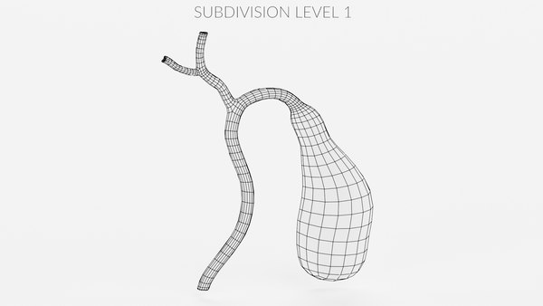 modelo 3d Sección de la vesícula biliar - TurboSquid 1756721