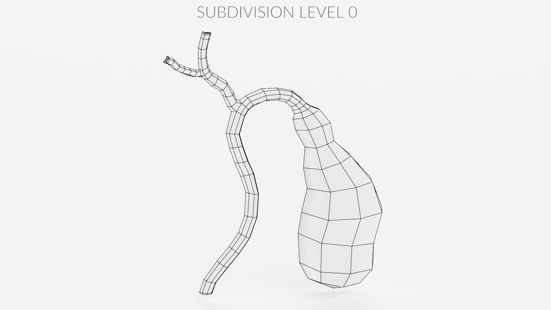Gallbladder Section 3D Model - TurboSquid 1756721