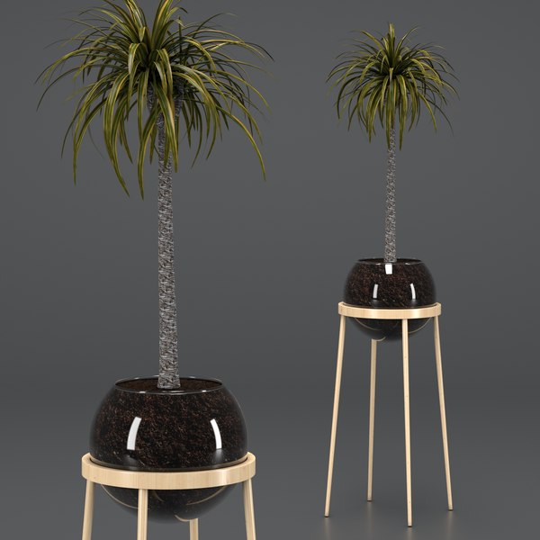 modelo 3d Dracaena en una maceta de vidrio - TurboSquid 1545690