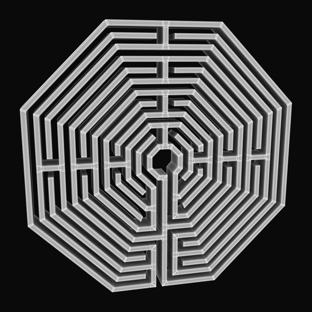 Maze Octagonal 3ds