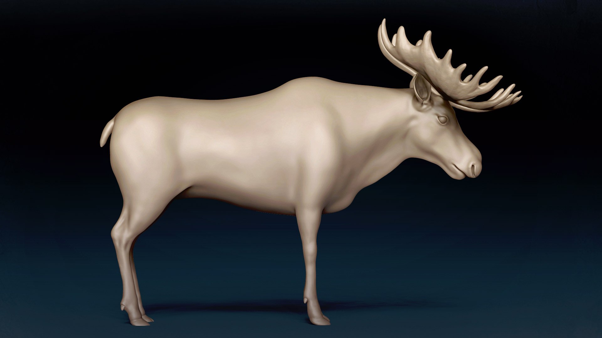 3D Moose Base Mesh 3D - TurboSquid 1823516