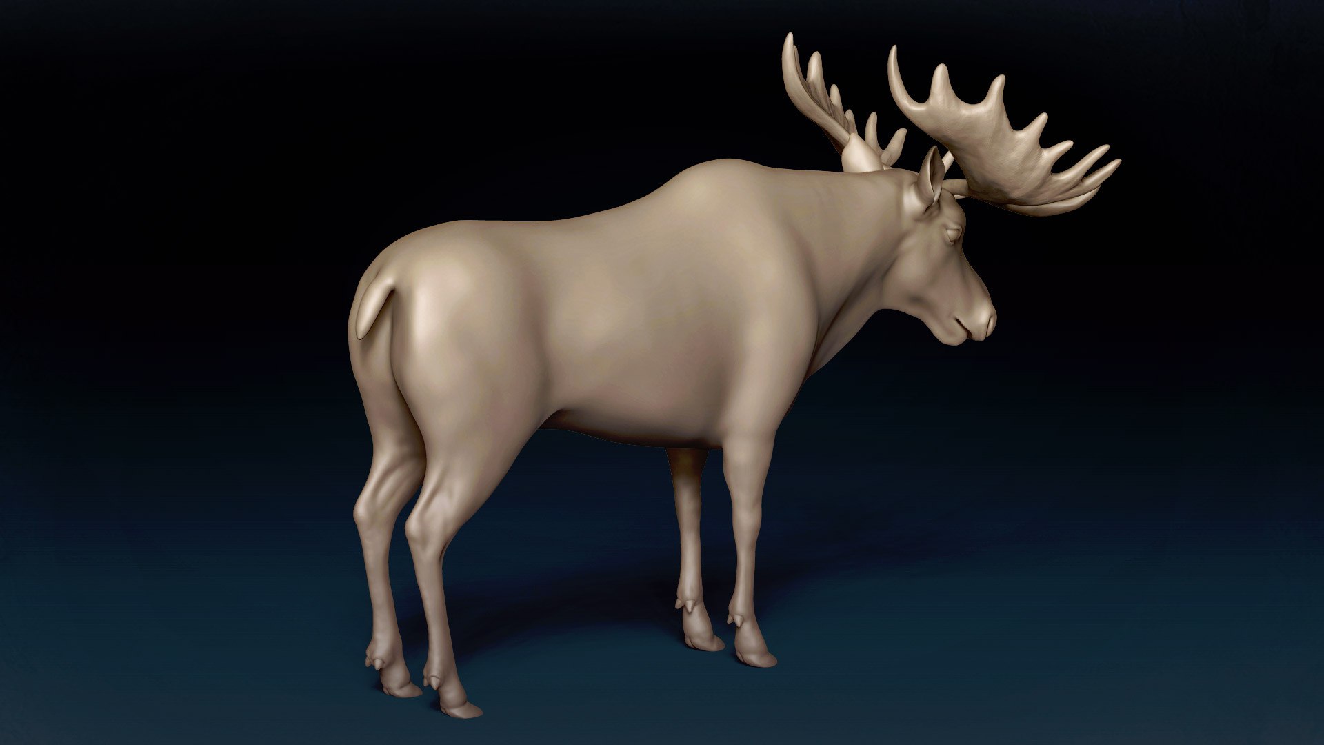 3D Moose Base Mesh 3D - TurboSquid 1823516