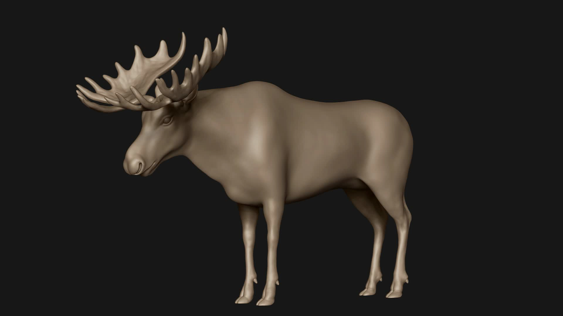3D Moose Base Mesh 3D - TurboSquid 1823516