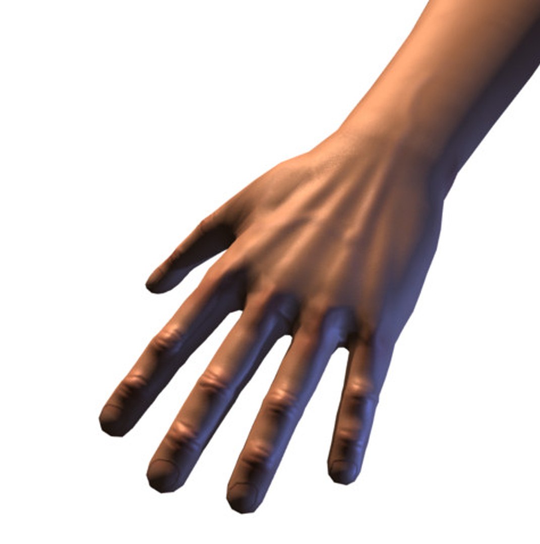 Realistic Hands Physics Controller 3D Model - TurboSquid 1359414