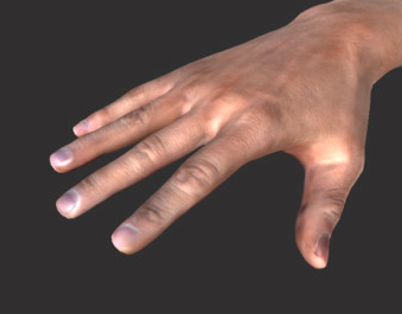 Realistic Hands Physics Controller 3D Model - TurboSquid 1359414