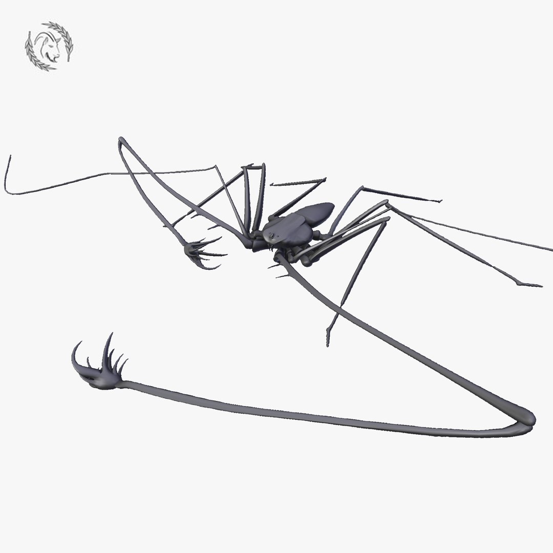 Scorpion Whip Spider 3D Model - TurboSquid 1231704