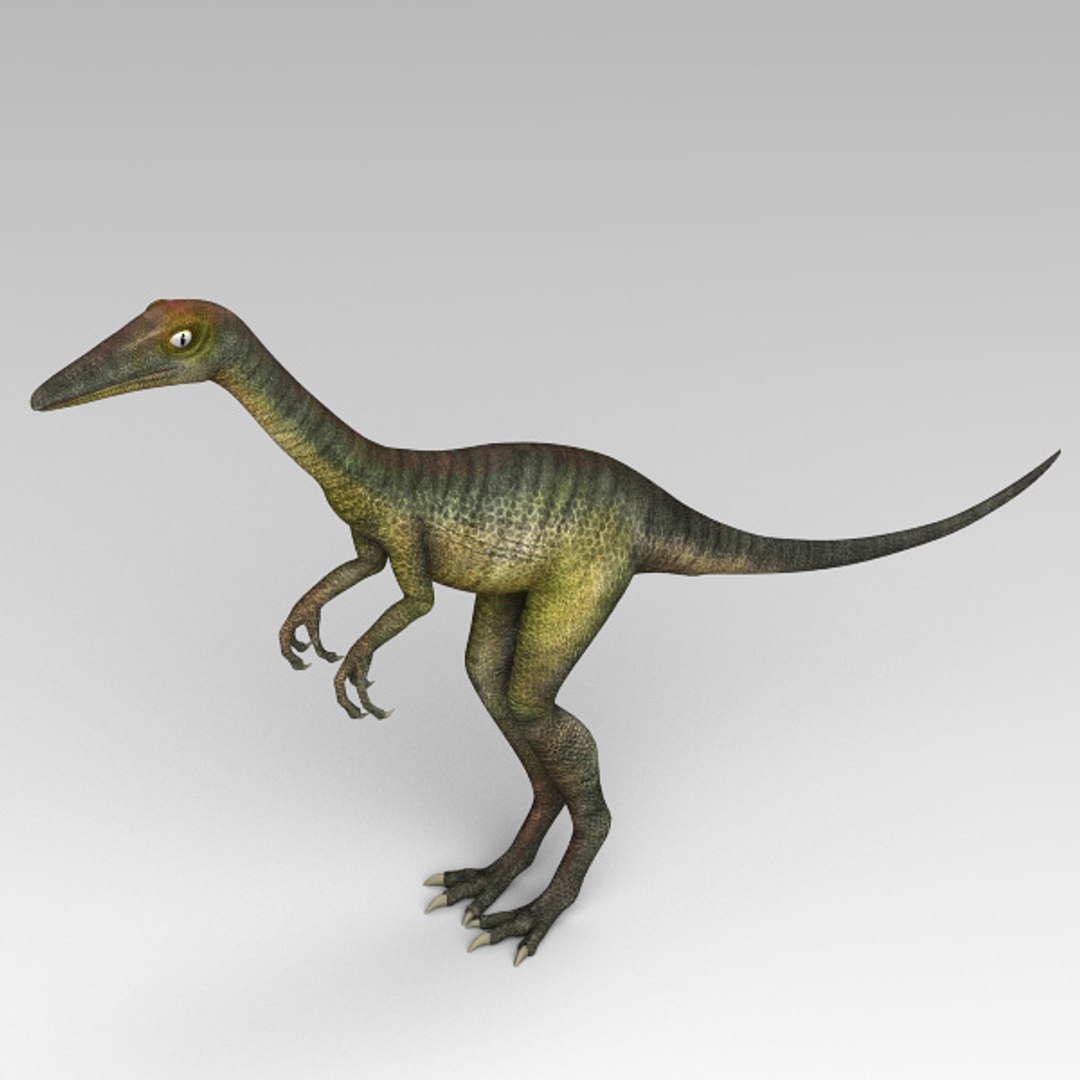 3d model cheetah3d troodon