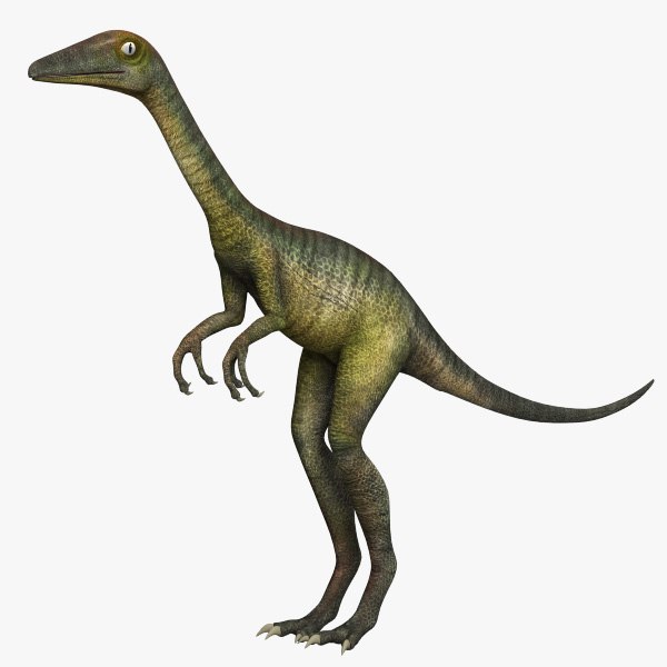 3d model cheetah3d troodon