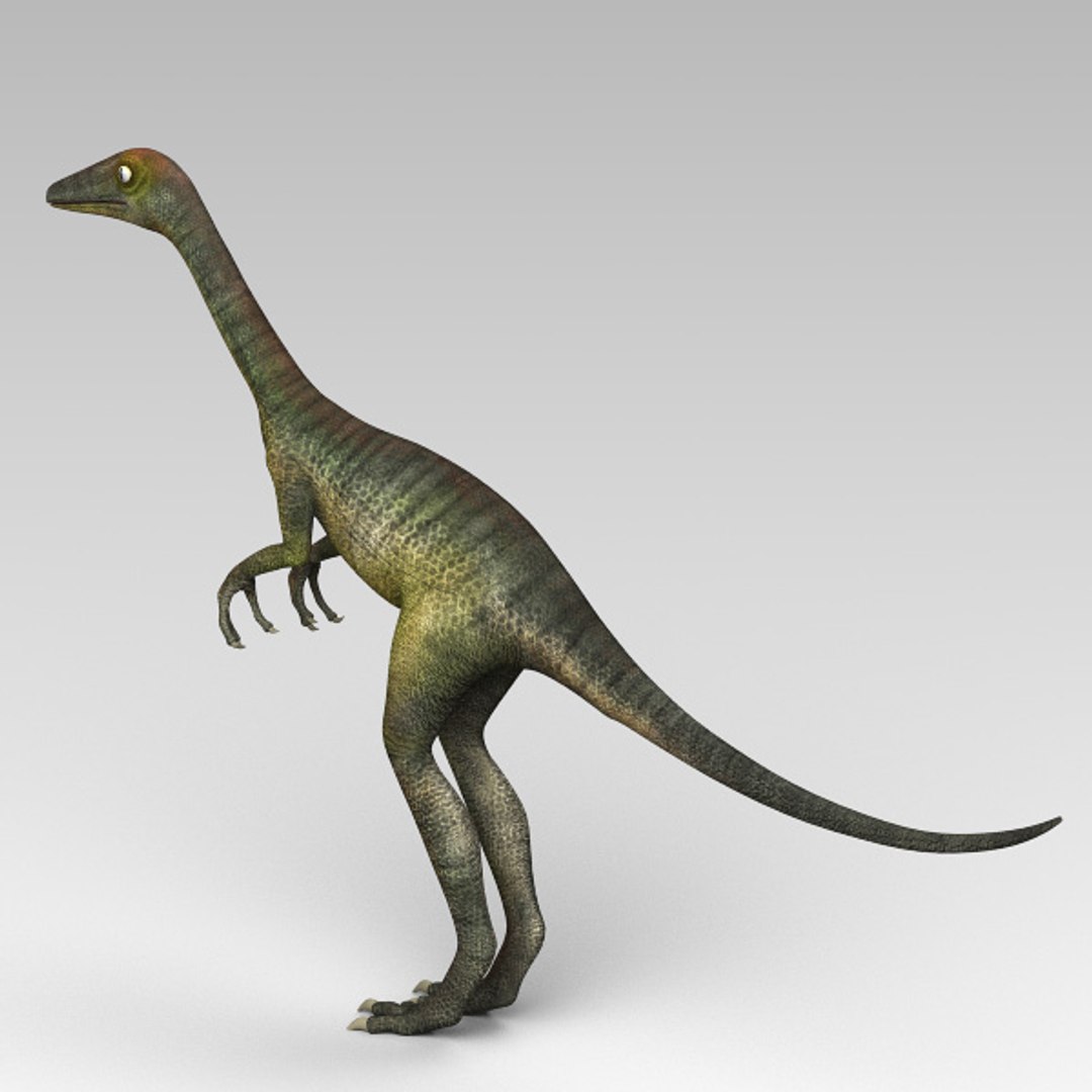 3d model cheetah3d troodon