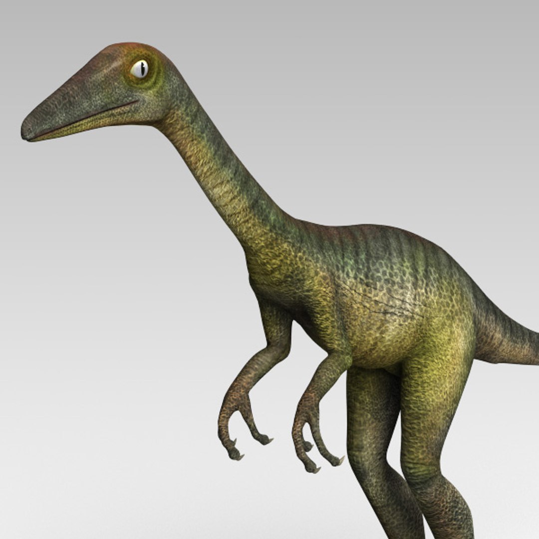 3d model cheetah3d troodon