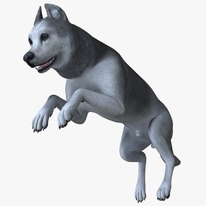 Dog Maya Models for Download | TurboSquid