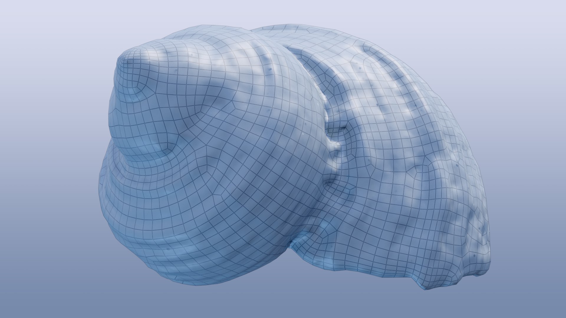 Seashell Conch B 3D Model - TurboSquid 1946660
